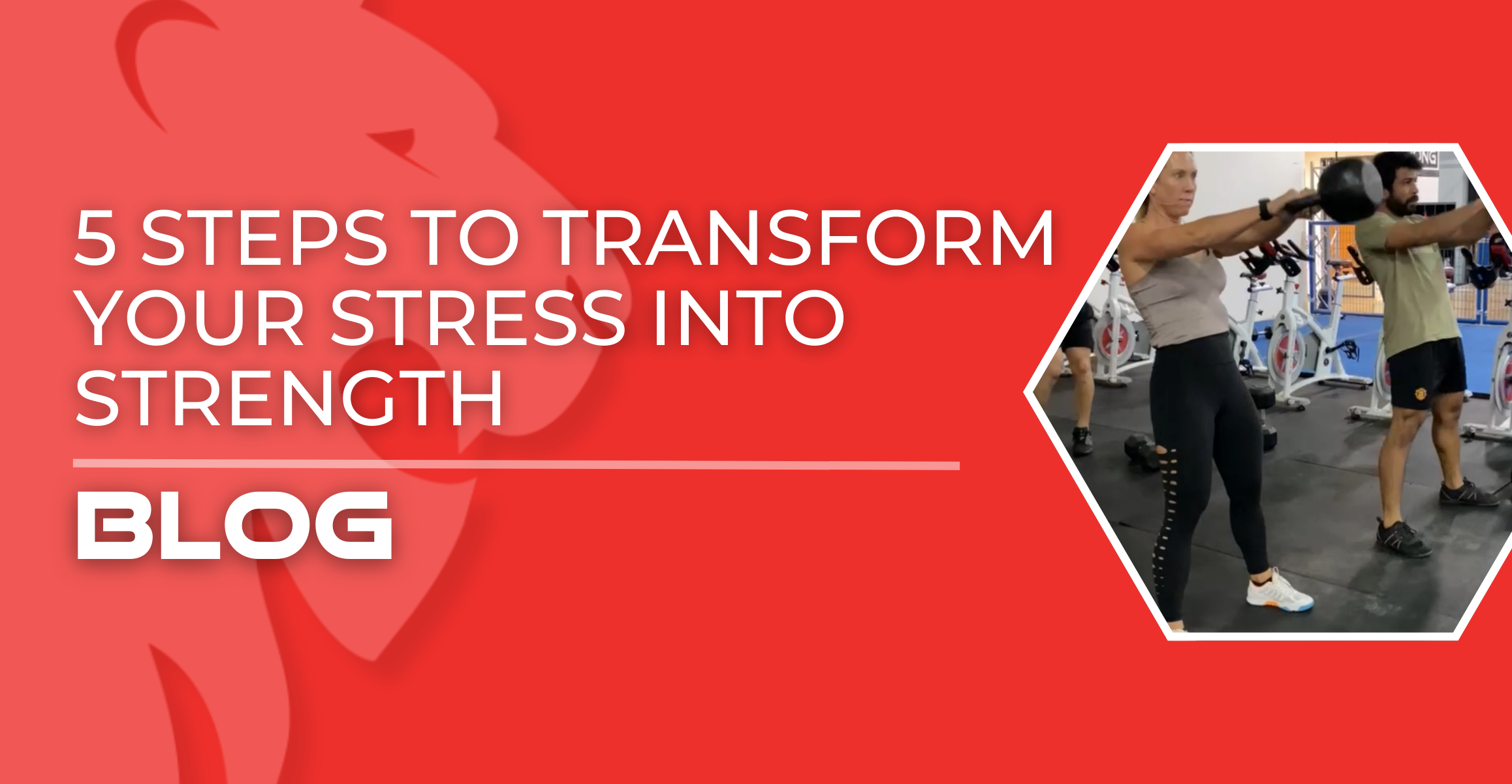 5 Steps to Transform Your Stress into Strength