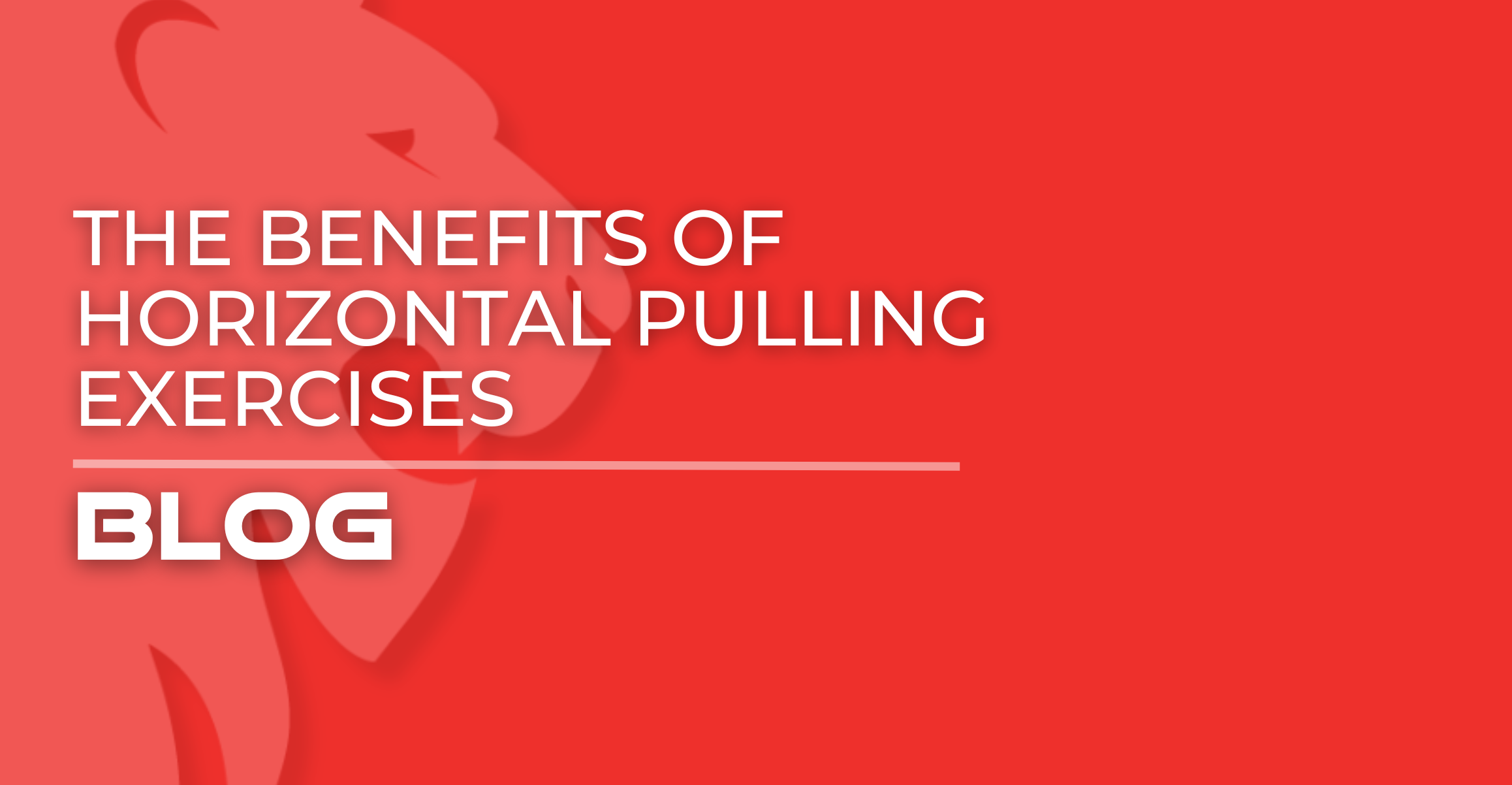 The Benefits of Horizontal Pulling Exercises