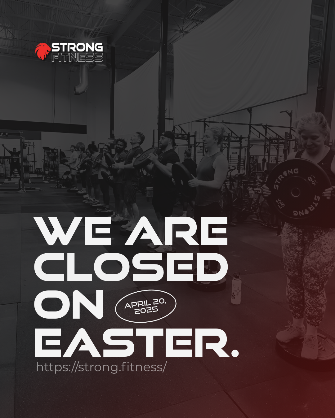 Start typing and press Enter to search